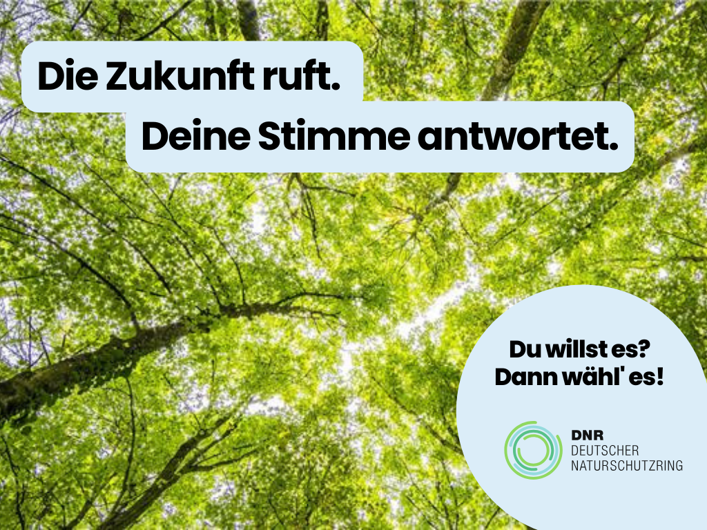 Die Zukunft ruft. Deine Stimme antwortet! | Deutscher Naturschutzring